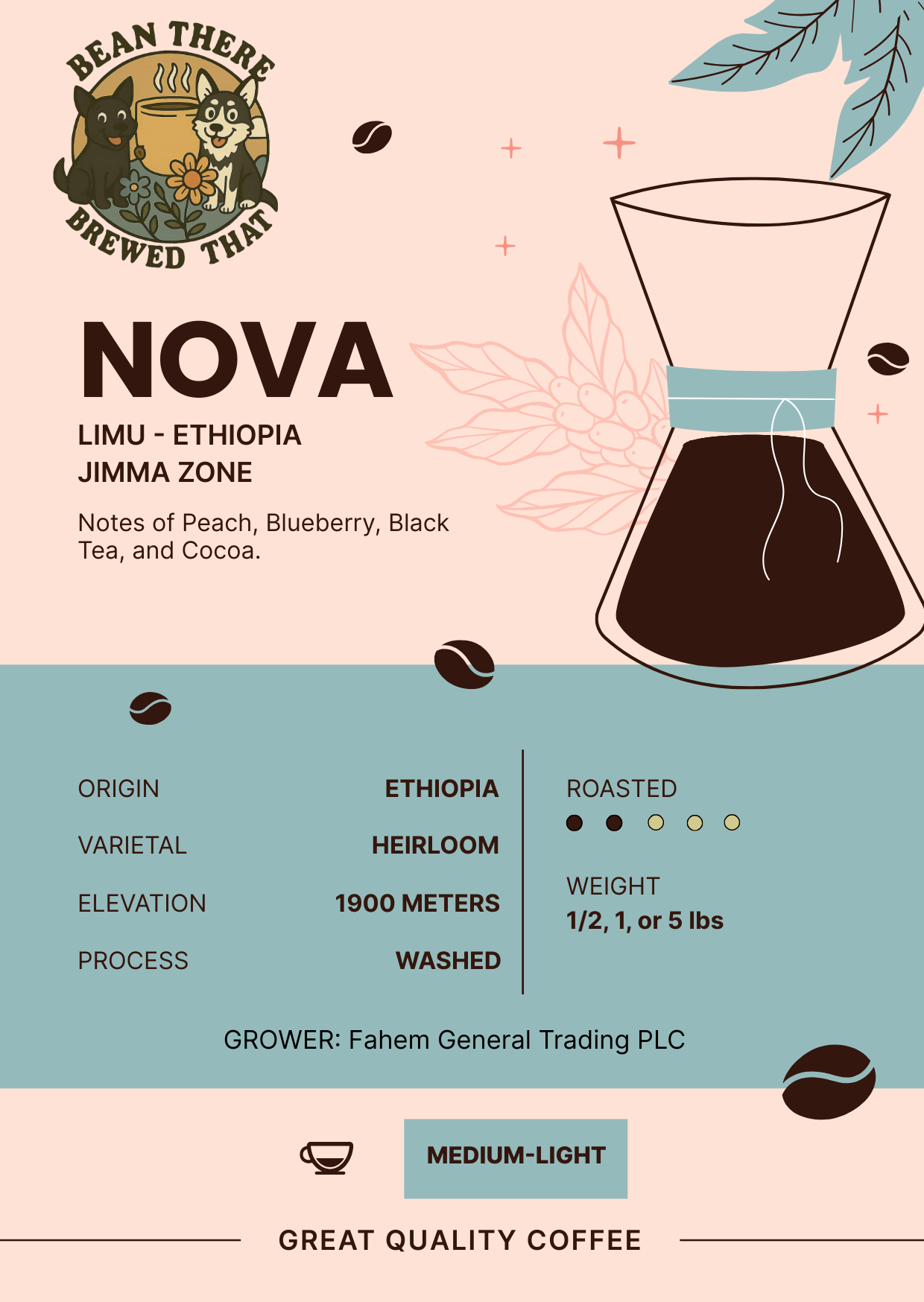 Nova - Ethiopia Limu - Medium Light Roast – Bean There, Brewed That